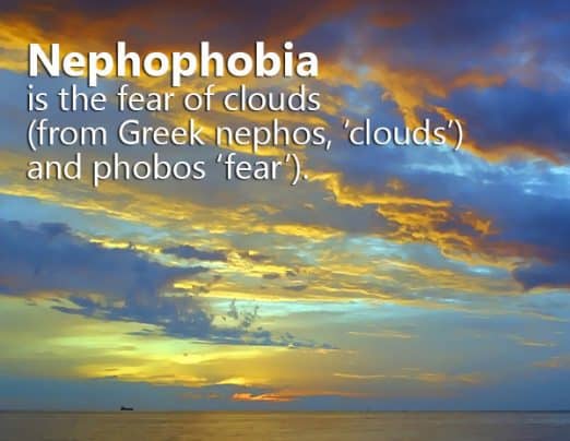 Top Tips for a Successful Microsoft Office 365 Rollout, O365 ...