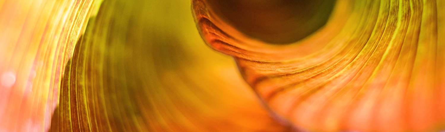 Enhance Your Identity Management Solution with Identity Panel Suite